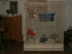 Two custom made cages powder coated for Sale